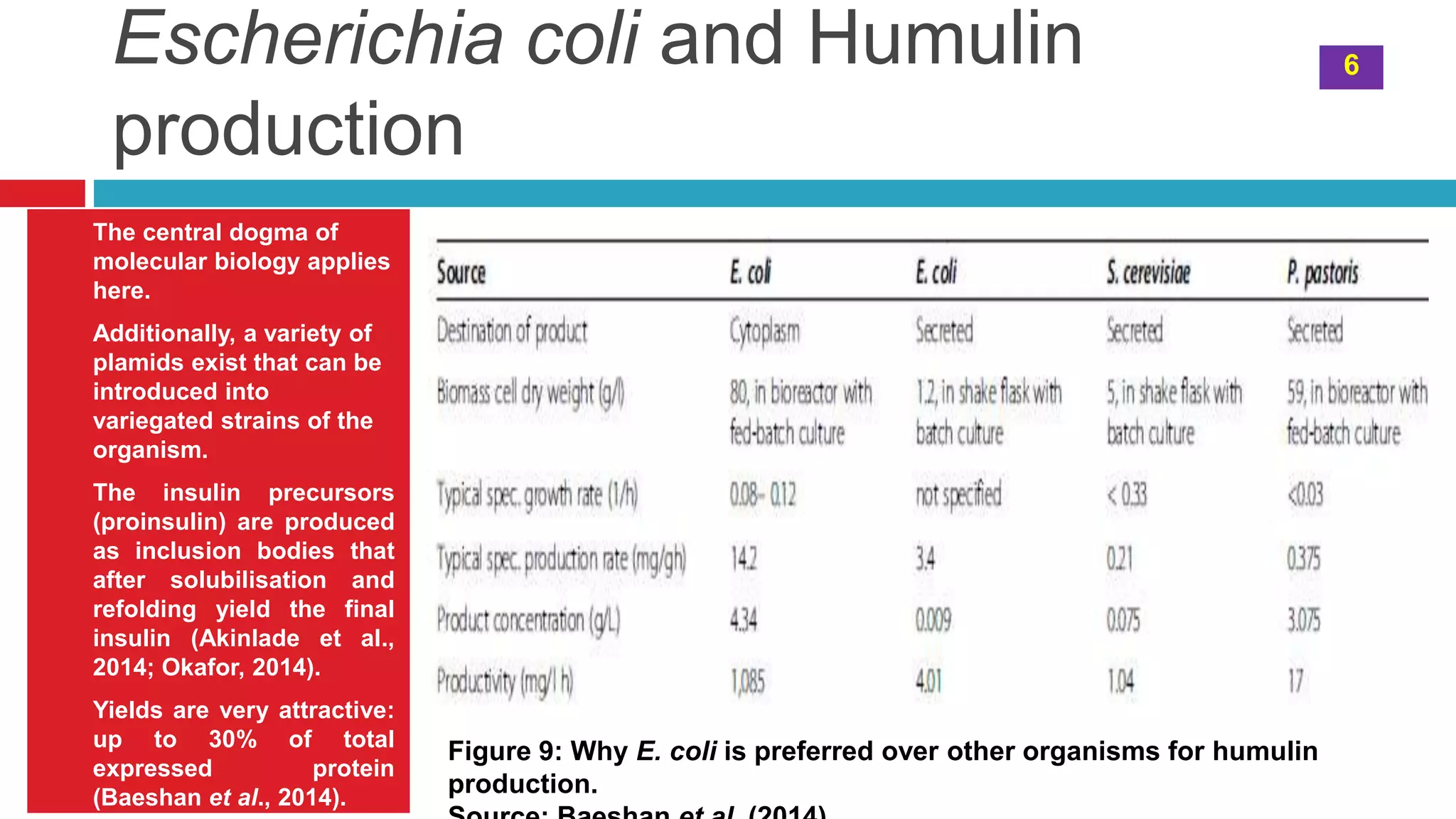 ProductionofHumanInsulinHormoneHumulinthroughGeneticEngineeringUsingEsc ...