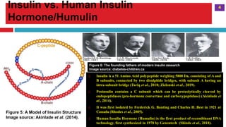 ProductionofHumanInsulinHormoneHumulinthroughGeneticEngineeringUsingEsc ...