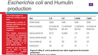 ProductionofHumanInsulinHormoneHumulinthroughGeneticEngineeringUsingEsc ...