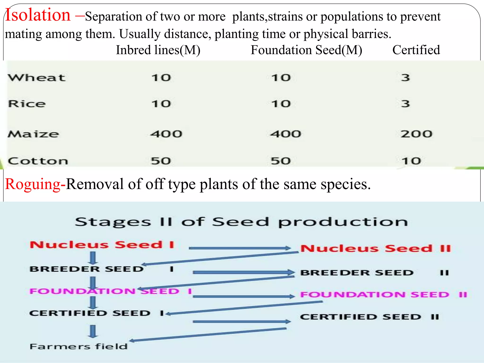 Plant Breeding: The Process of production of inbred lines & hybrid ...