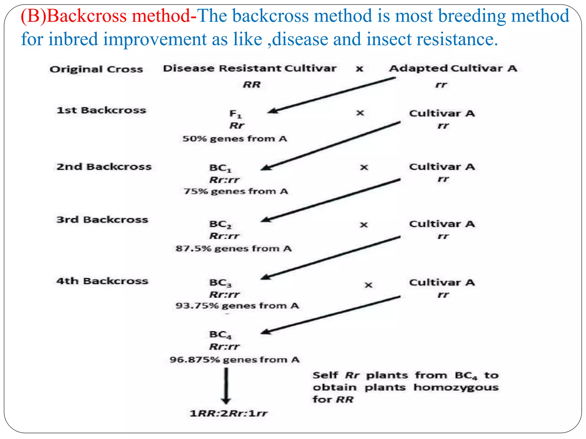Plant Breeding: The Process of production of inbred lines & hybrid ...