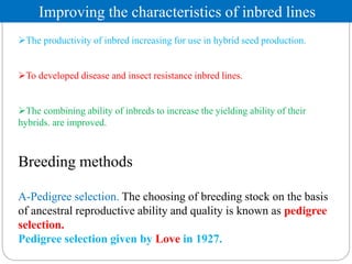 Plant Breeding: The Process of production of inbred lines & hybrid ...