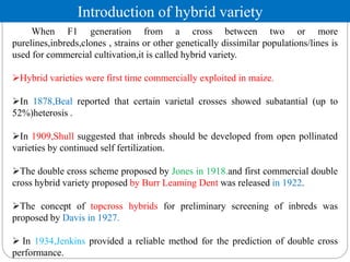 Production of inbred lines & hybrid variety | PPT