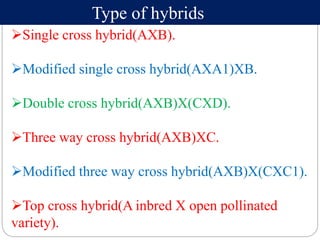 Production of inbred lines & hybrid variety | PPT