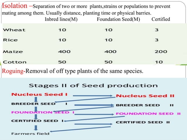 Production of inbred lines & hybrid variety | PPT