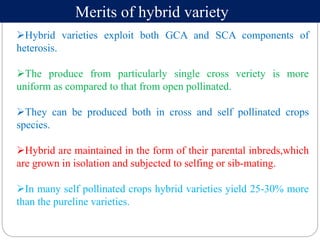 Production of inbred lines & hybrid variety | PPT