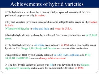 Production of inbred lines & hybrid variety | PPT