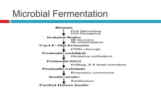 Production of insulin from microbial culture | PPTX