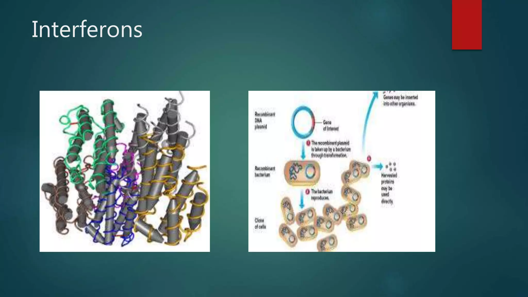 Production of interferons | PPTX