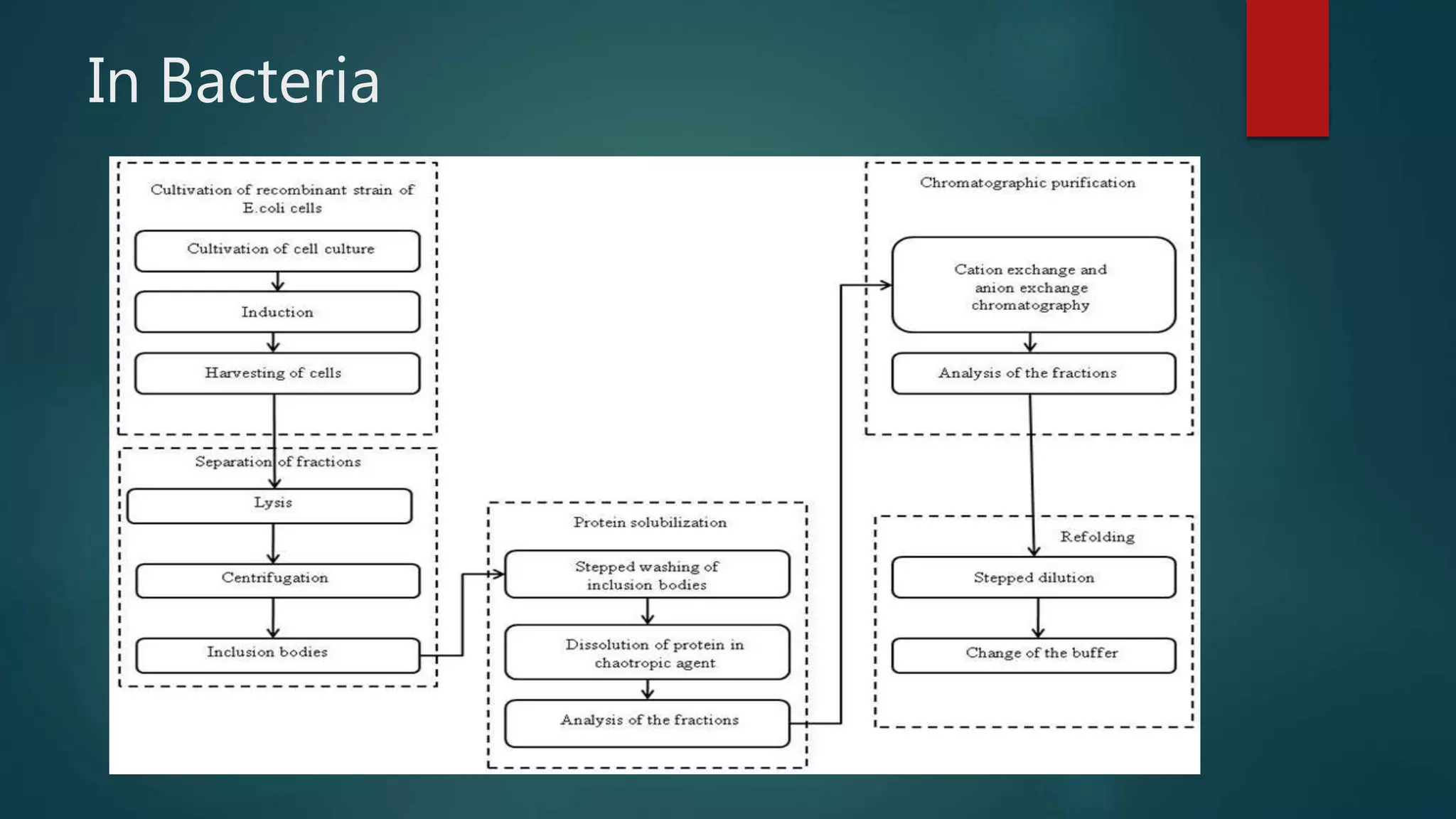 Production of interferons | PPTX