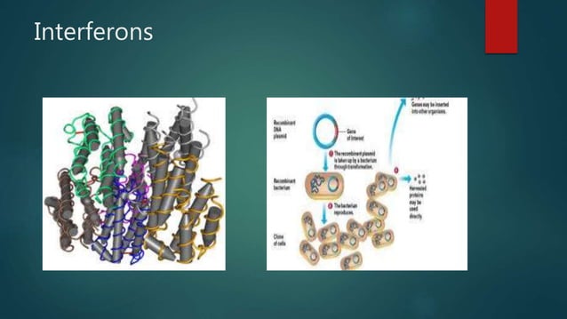 Production of interferons | PPTX