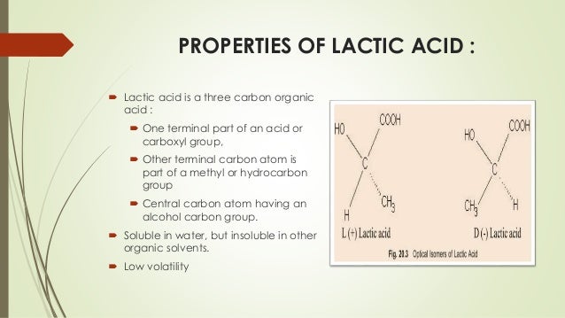 Production of lactic acid and acidic acid