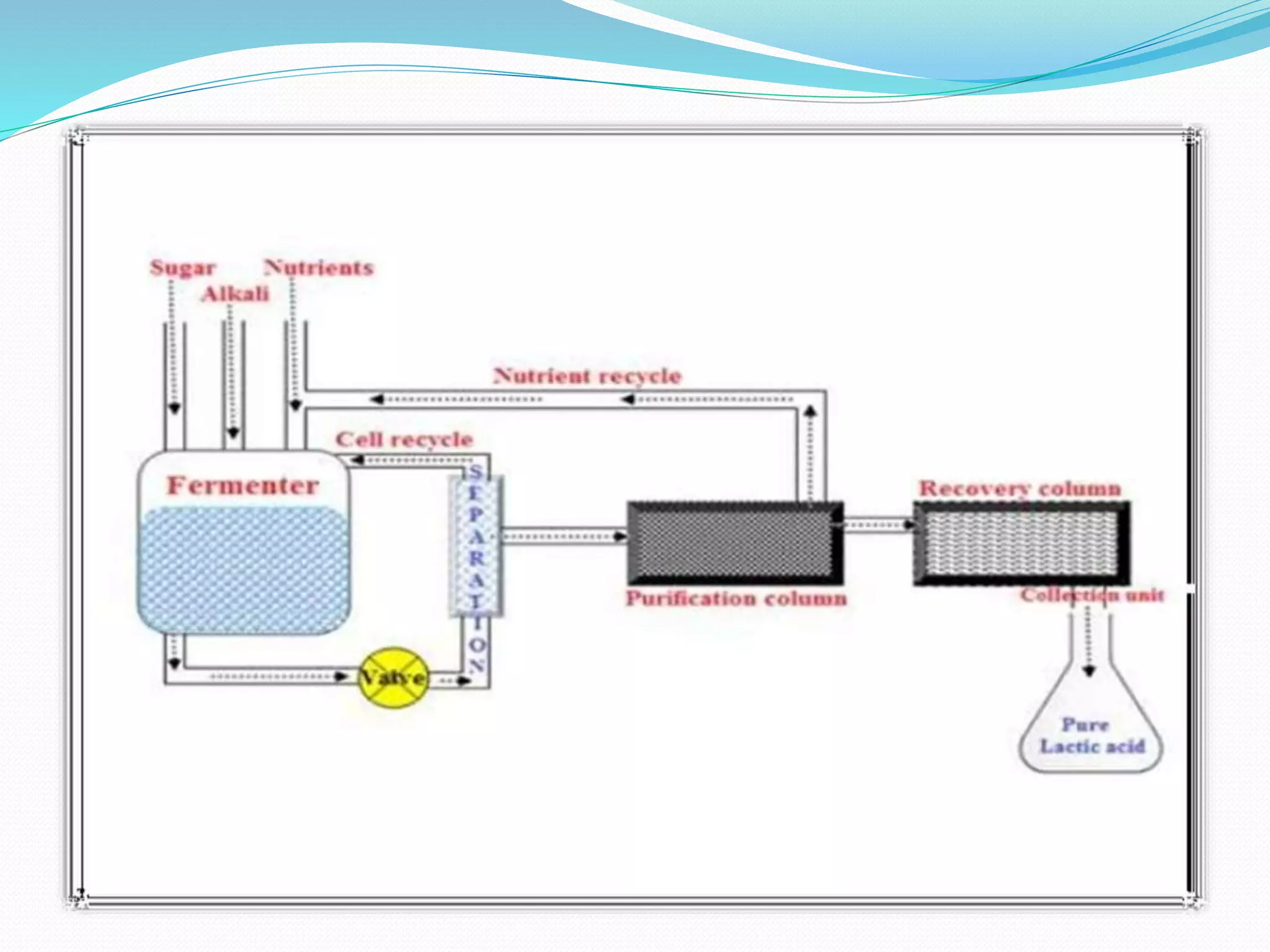 Production of lactic acid complete | PPTX