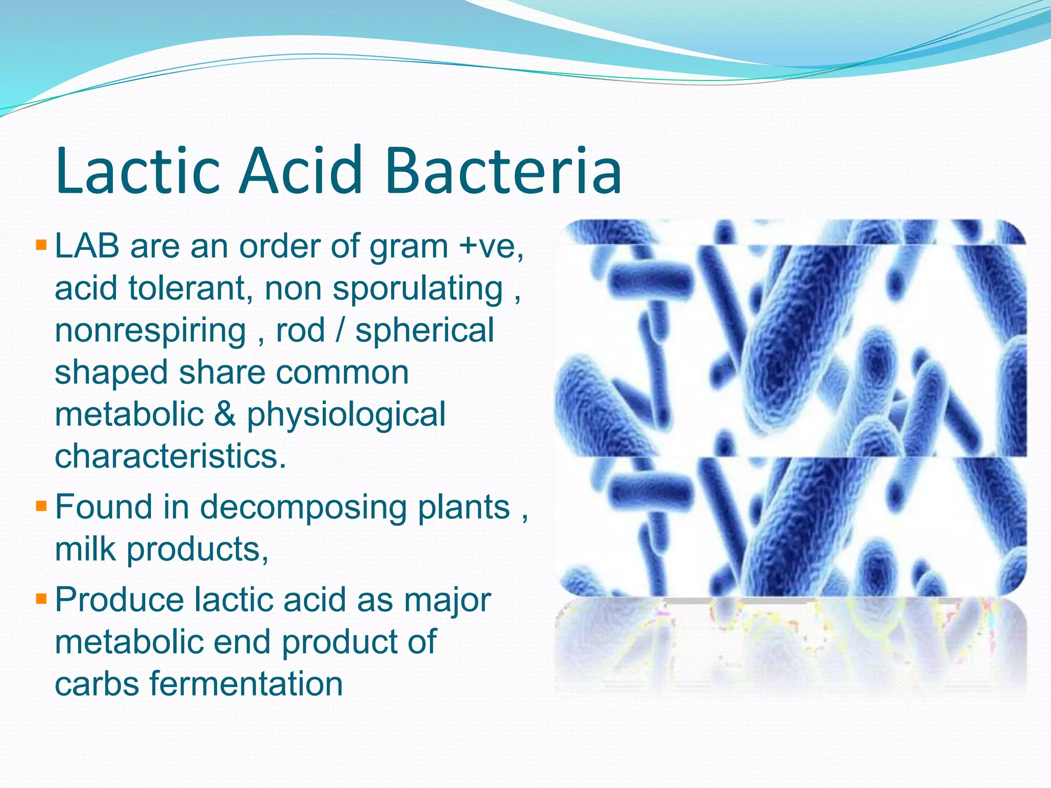 Production of lactic acid complete | PPTX