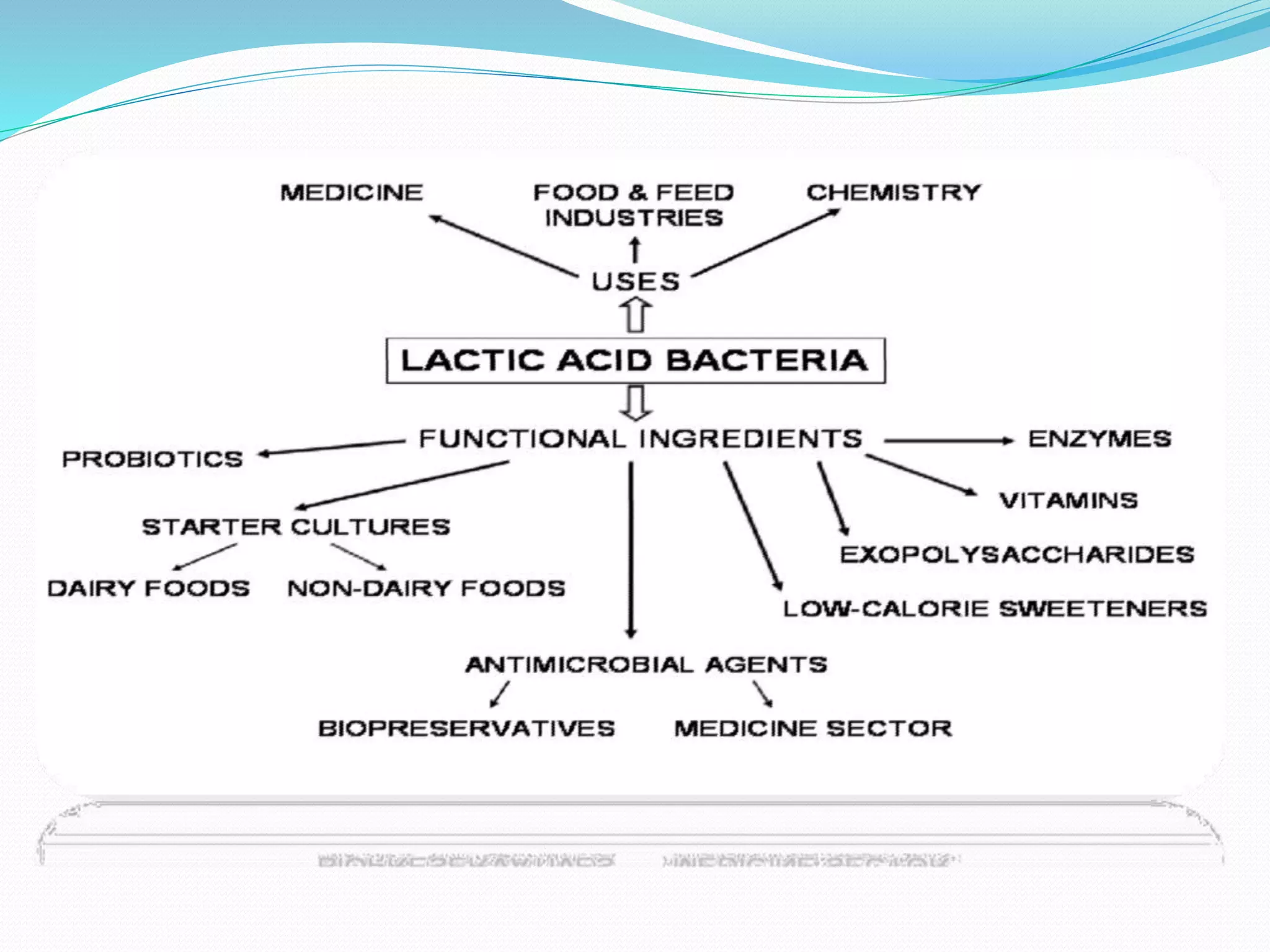 Production of lactic acid complete | PPTX