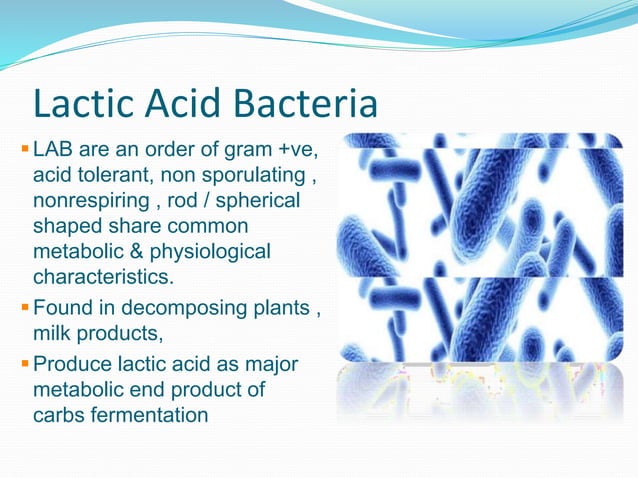 Production of lactic acid complete | PPT
