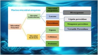 Production of Marine Microbial products. | PDF