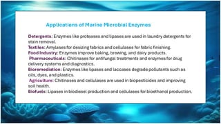 Production of Marine Microbial products. | PDF