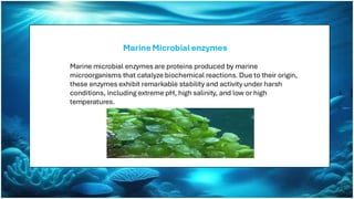 Production of Marine Microbial products. | PDF