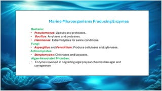 Production of Marine Microbial products. | PDF