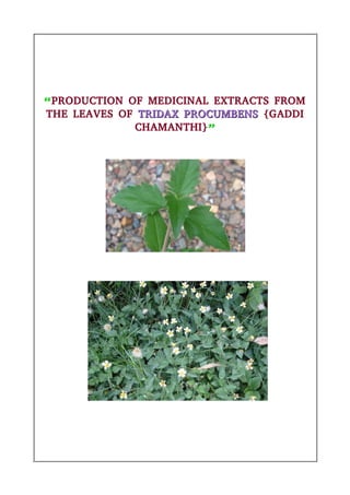 Production of medicinal extracts from the leaves of tridax procumbens | PDF