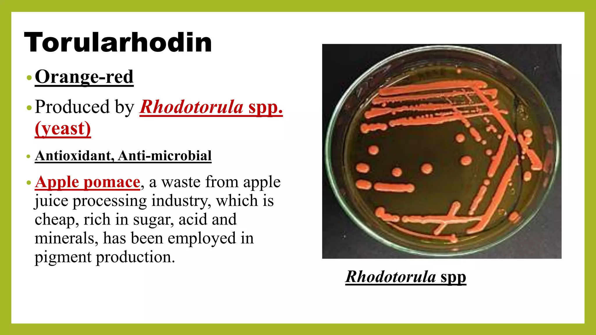 Production of microbial colors or pigments | PPTX