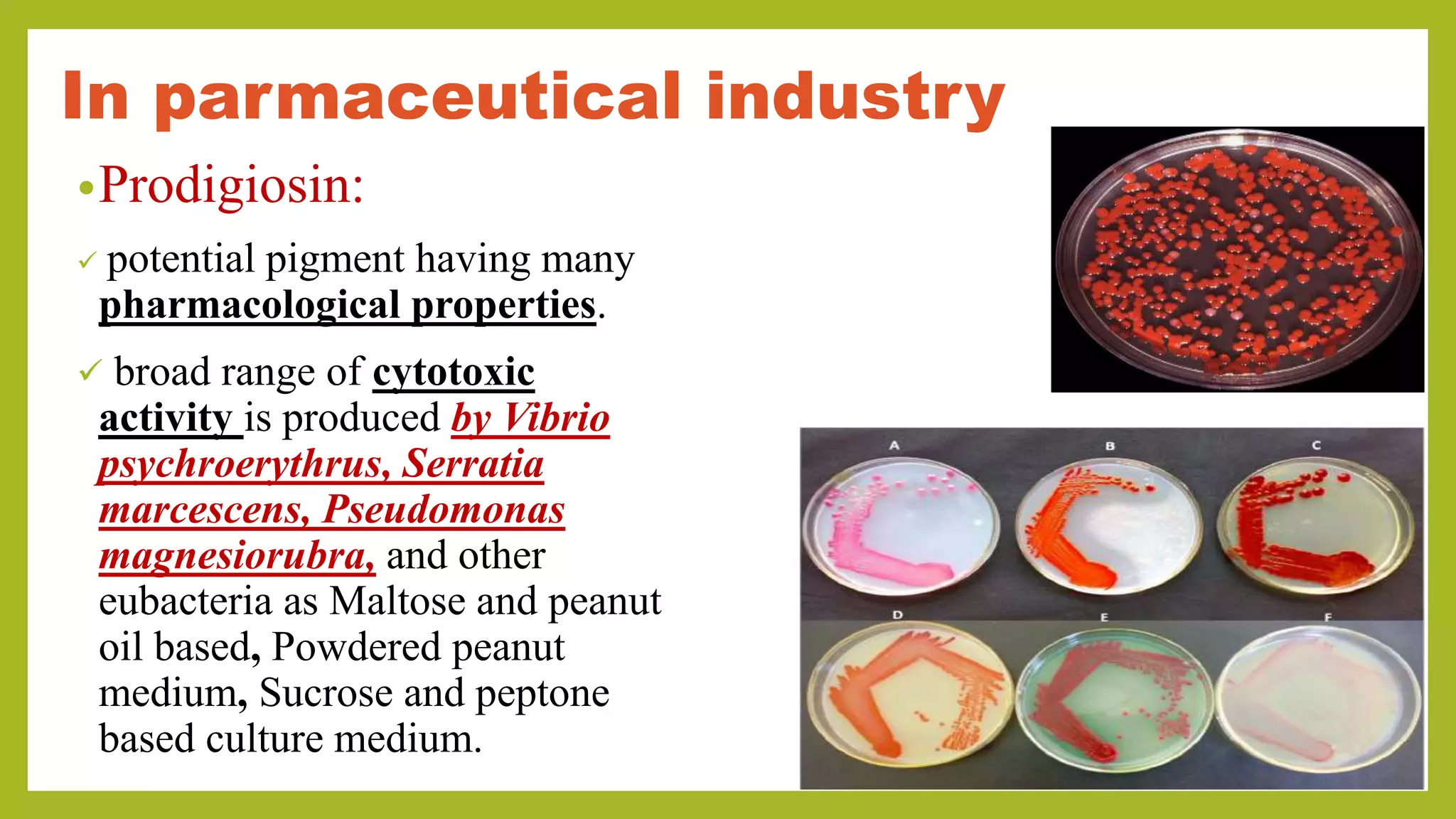 Production of microbial colors or pigments | PPTX