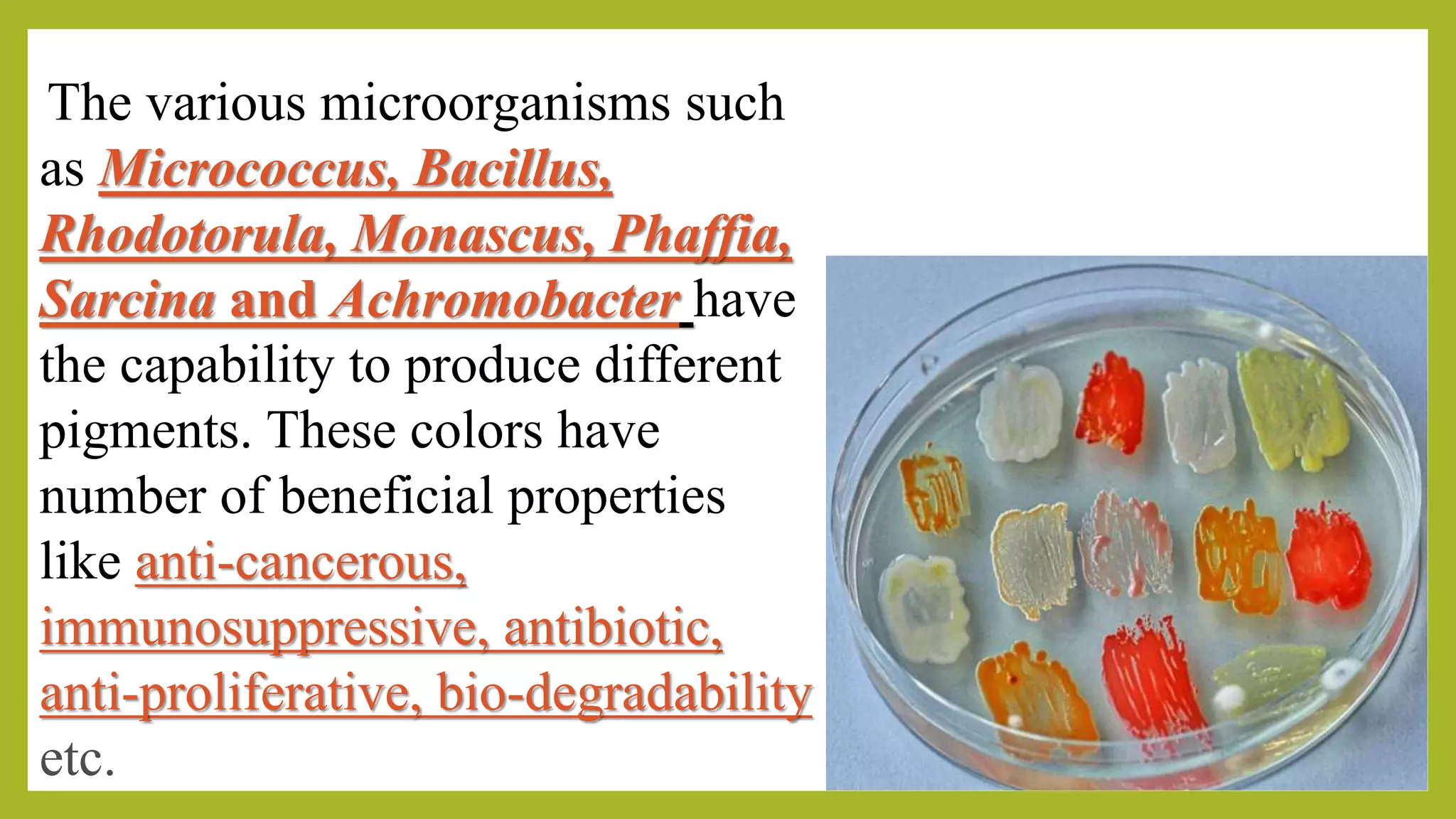 Production of microbial colors or pigments | PPTX