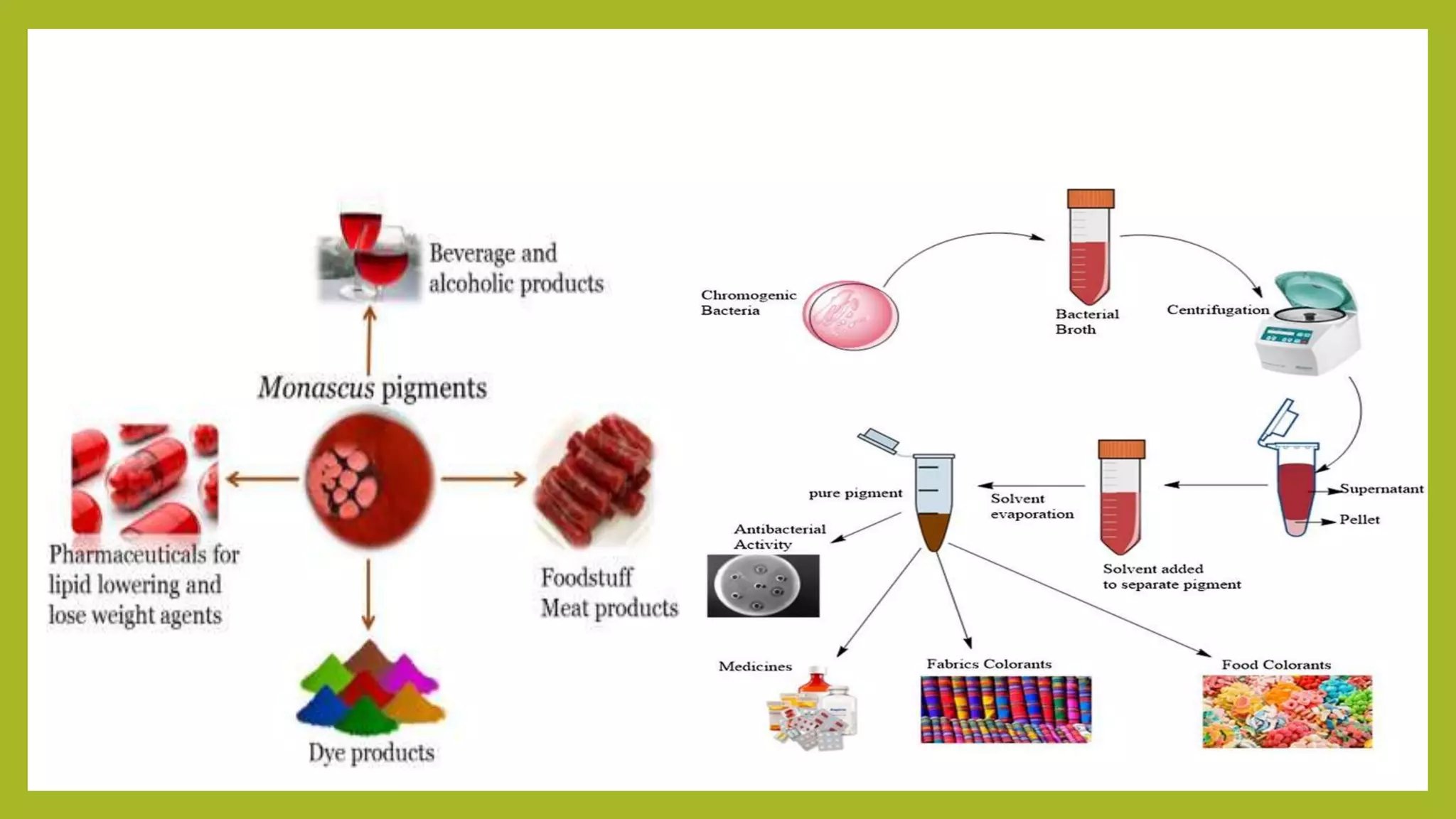 Production of microbial colors or pigments | PPTX