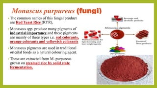 Production of microbial colors or pigments | PPTX