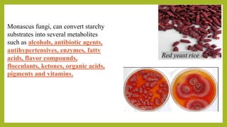 Production of microbial colors or pigments | PPTX