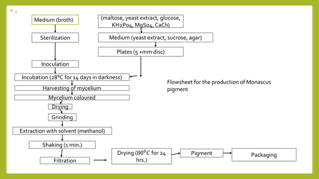 Production of microbial colors or pigments | PPTX | Gardening | Home ...