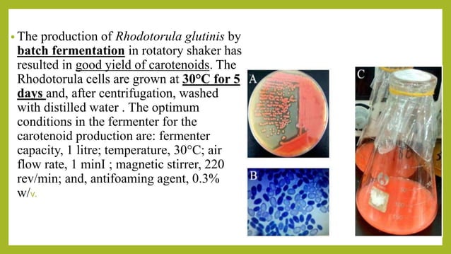 Production of microbial colors or pigments | PPTX | Gardening | Home ...