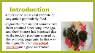 Production of microbial colors or pigments | PPTX