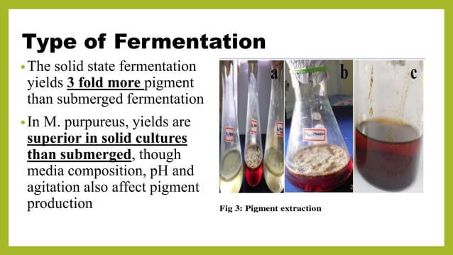 Production of microbial colors or pigments | PPTX | Gardening | Home ...