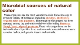 Production of microbial colors or pigments | PPTX