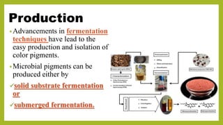 Production of microbial colors or pigments | PPTX