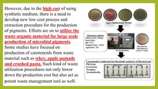 Production of microbial colors or pigments | PPTX