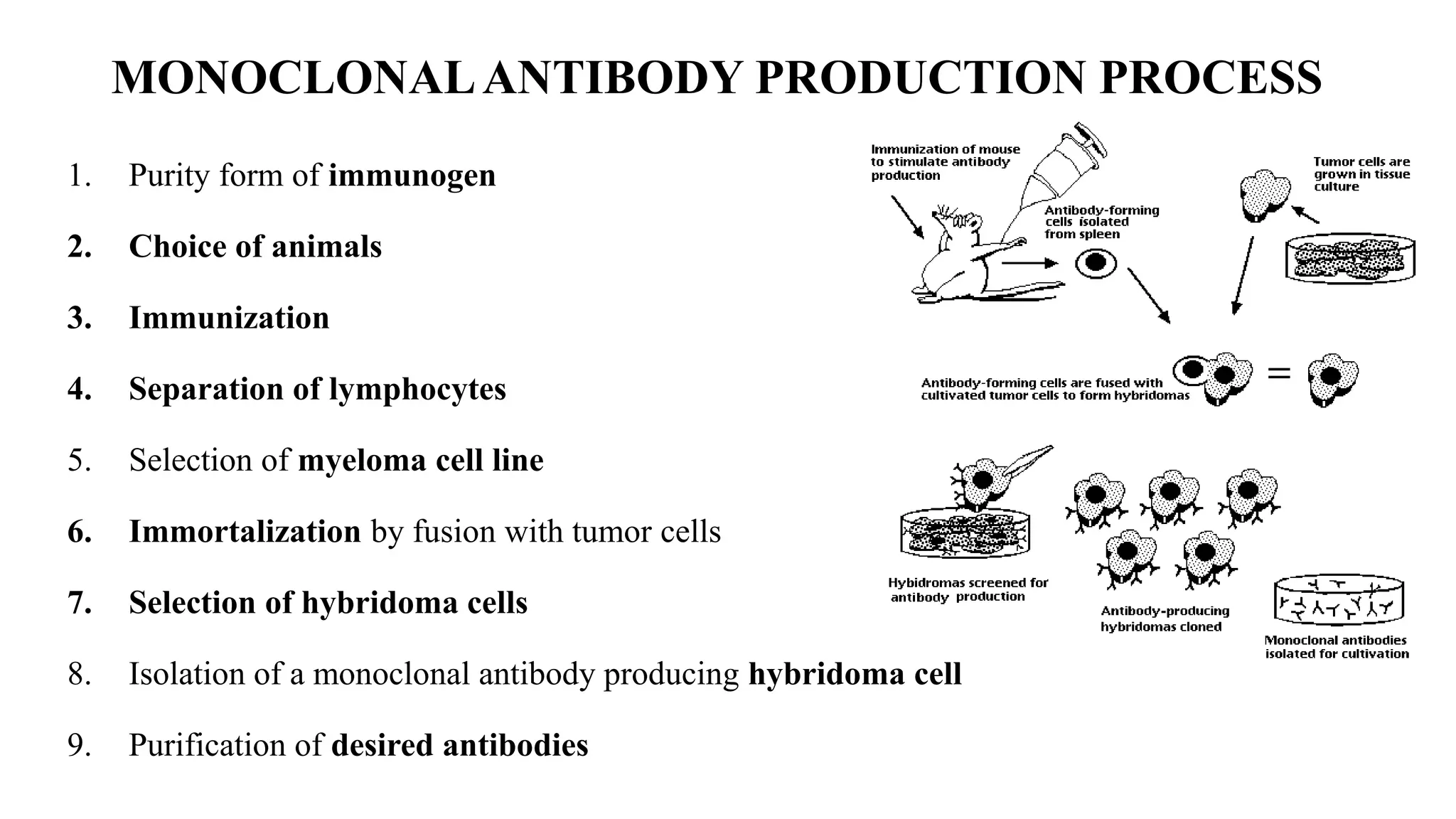 PRODUCTION OF MONOCLONAL AND POLYCLONAL ANTIBODIES PRESENTED BY SANJAY D.pptx