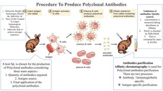 PRODUCTION OF MONOCLONAL AND POLYCLONAL ANTIBODIES PRESENTED BY SANJAY D.pptx