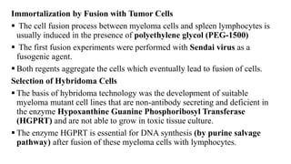 PRODUCTION OF MONOCLONAL AND POLYCLONAL ANTIBODIES PRESENTED BY SANJAY D.pptx