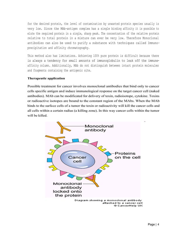 Production of monoclonal antibodies and applications in therapy and diagnosis | PDF