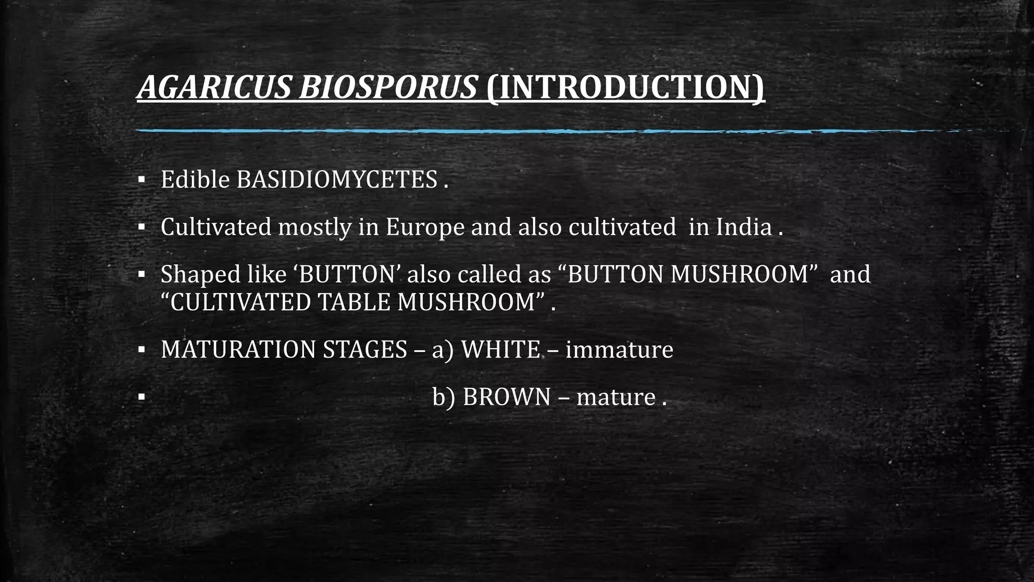Production of mushroom | PPTX
