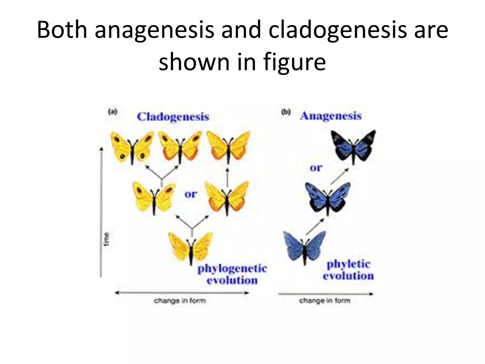Production of new evlutionary lineages | PPTX