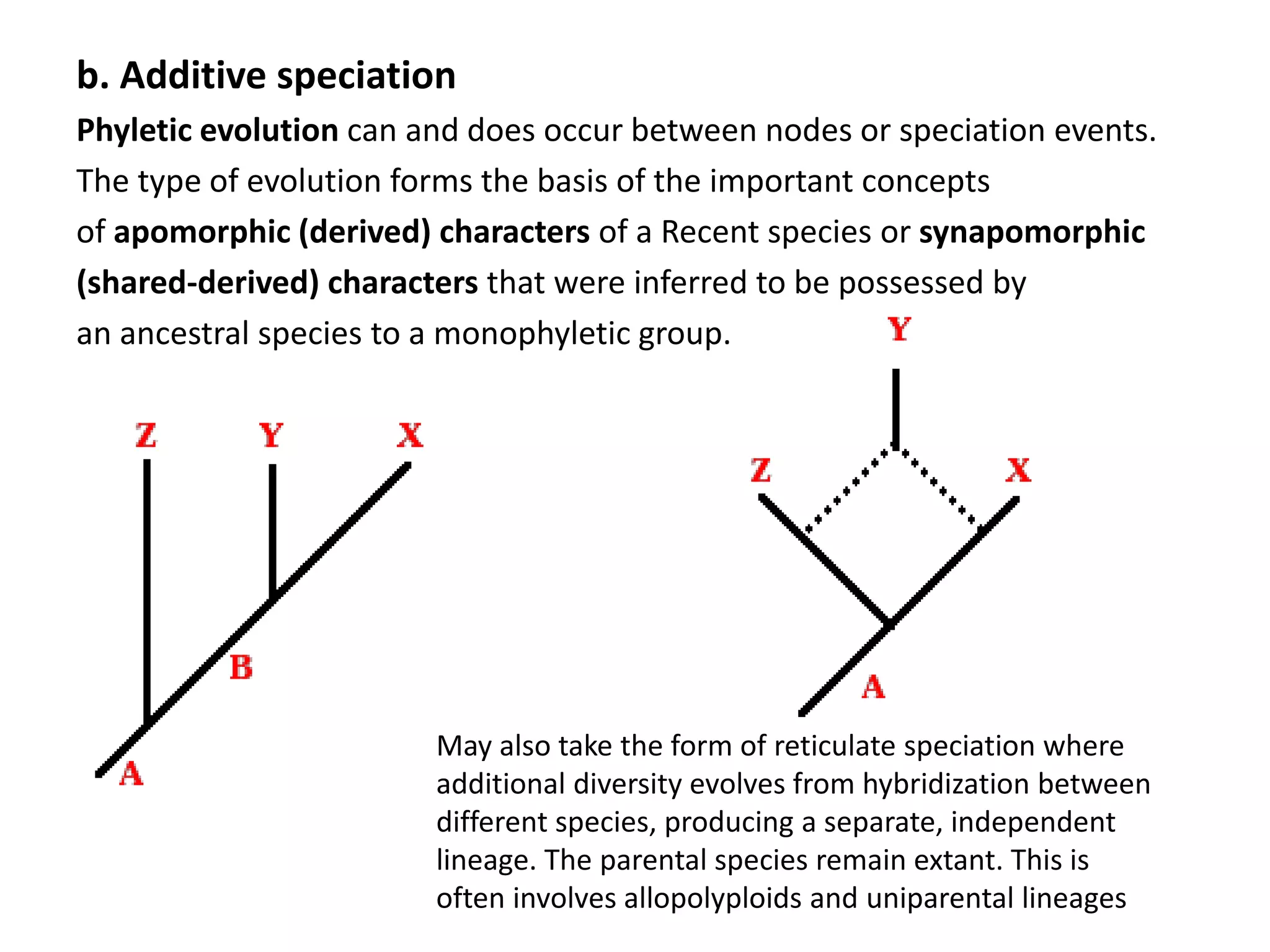 Production of new evlutionary lineages | PPTX