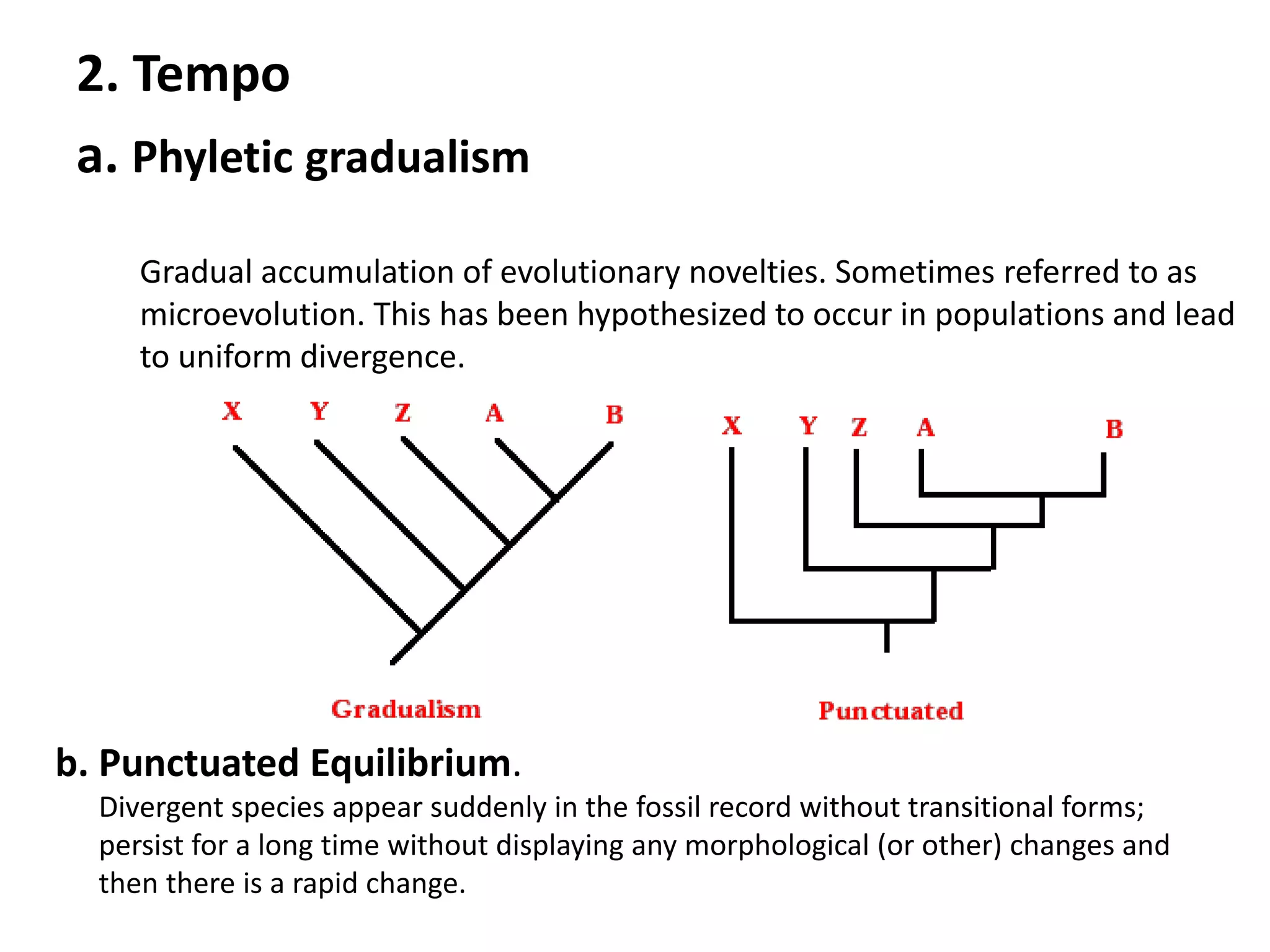 Production of new evlutionary lineages | PPTX