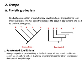 Production of new evlutionary lineages | PPTX