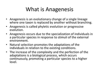 Production of new evlutionary lineages | PPTX