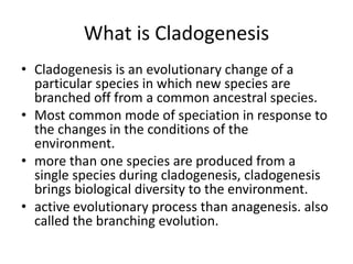Production of new evlutionary lineages | PPTX