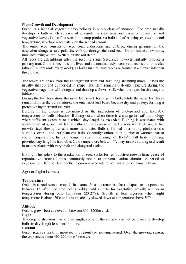 Production of onions | PDF